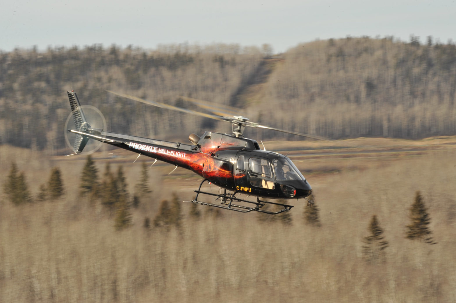 AS350B2 | Phoenix Heli-Flight Inc.